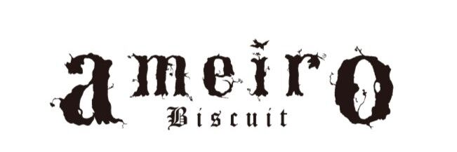 焼き菓子アソートBOX(L) | Biscuit ameiro