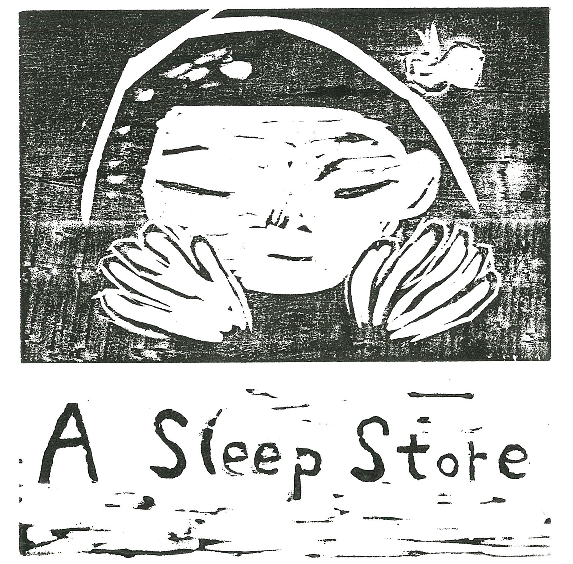 a-sleep-store