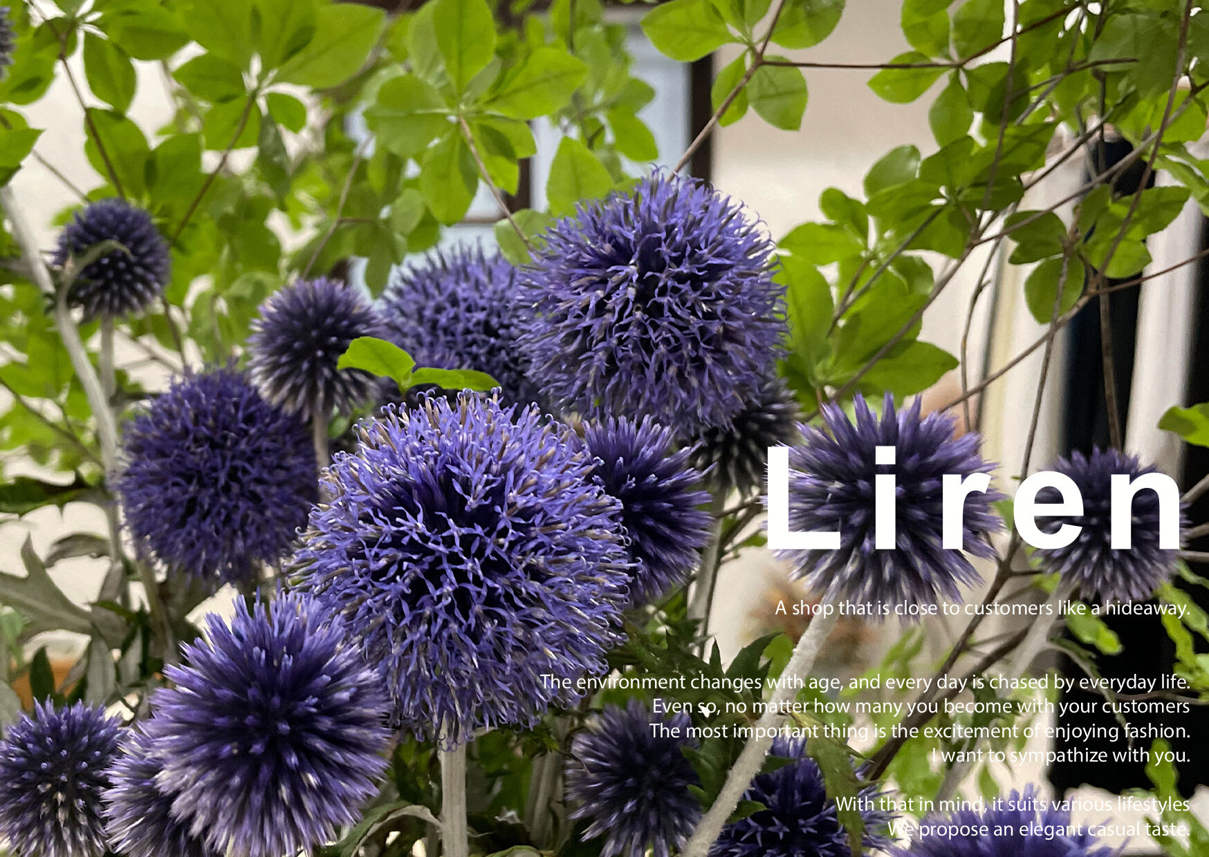 NEWS | select shop Liren