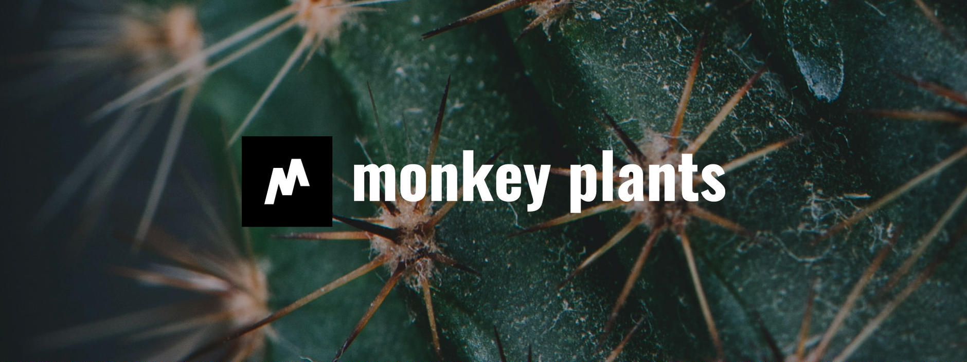 ABOUT | monkey plants