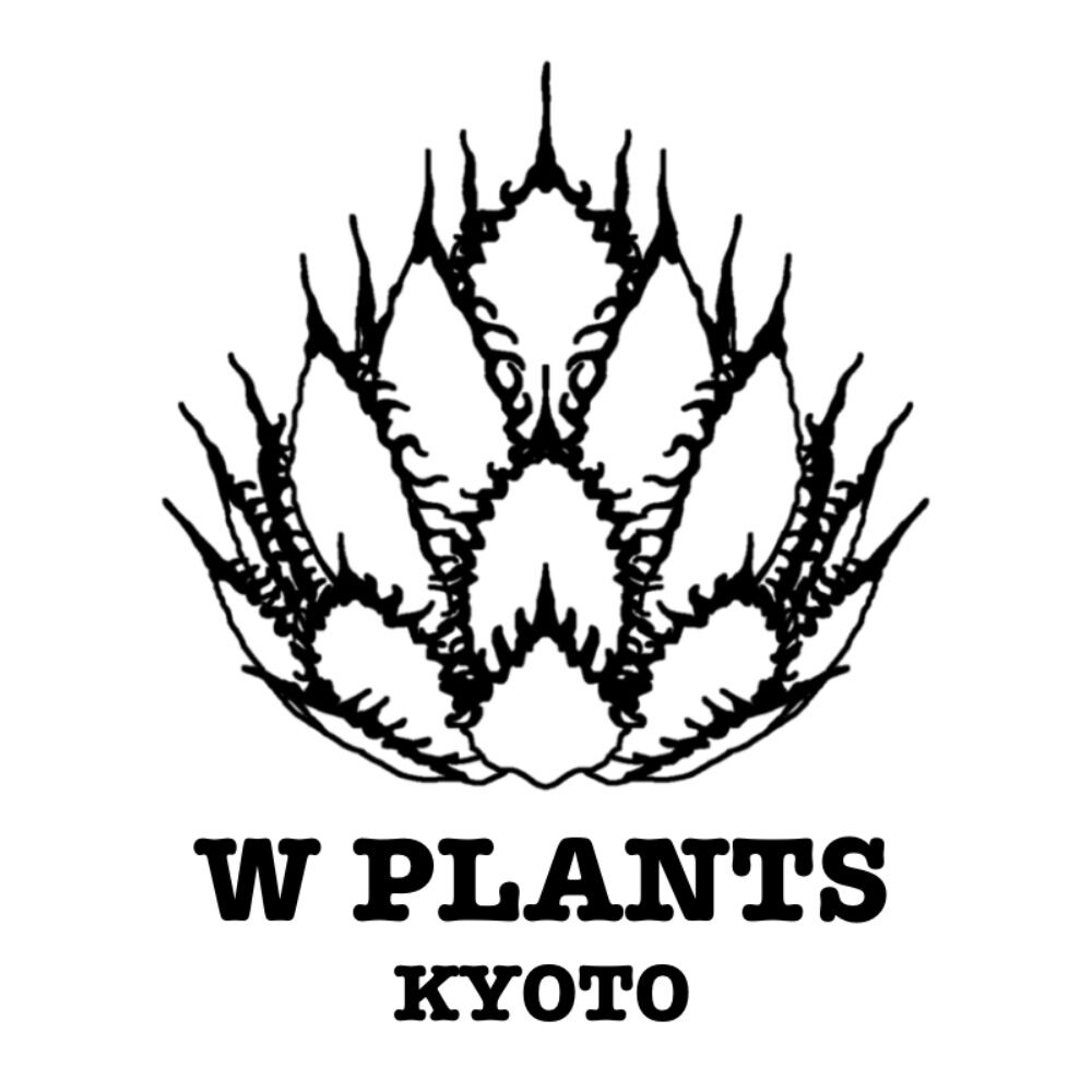 NEWS W PLANTS news-w-plants