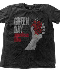 PAVEMENT : paper rad (ユニセックス バンドTシャツ) 【HV01-T0...