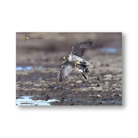 faura（ファウラ）65号【2023・4・25発行】 | faura store