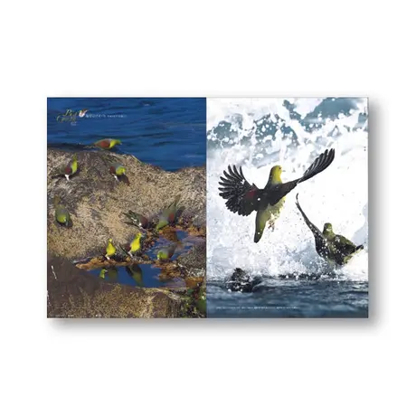 faura（ファウラ）65号【2023・4・25発行】 | faura store