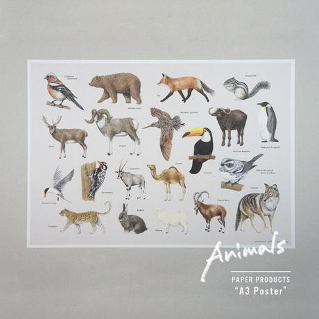 Animals / A3 Poster | Miltata ORDER & PRODUCTS