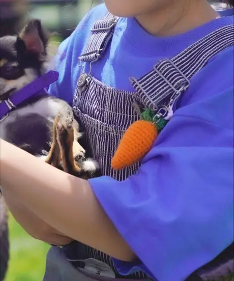 CARROT KEY CHAIN | NASU FARM VILLAGE ONLINE STORE