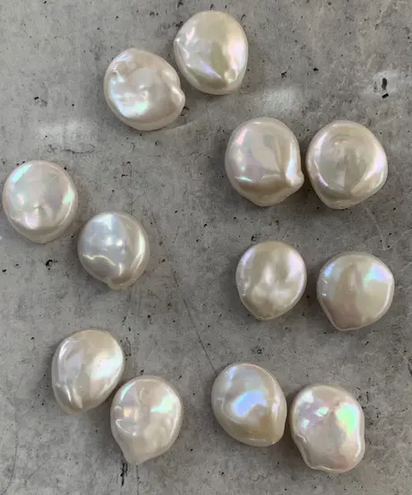 melt pearl | ripsalis