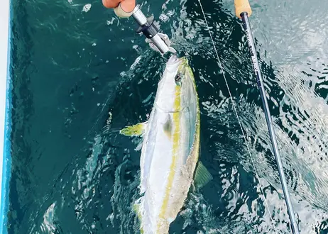 G.Loomis IMX-PRO V2S / SALTWATER フライロッド | mkb o...