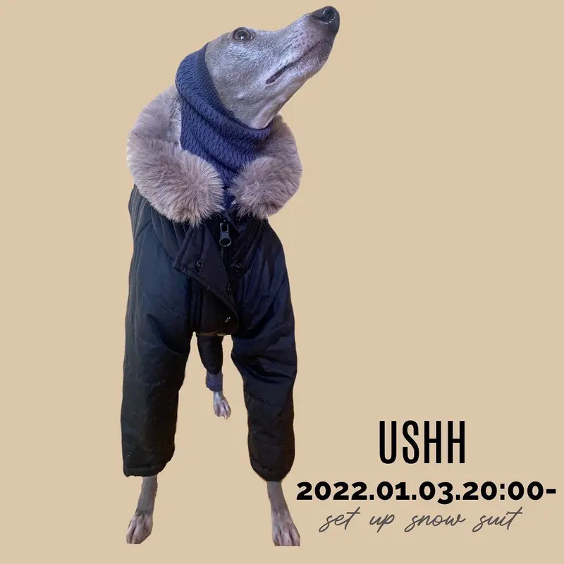 USHH アシュー エコファー スノースーツ イタグレ - ペット用品