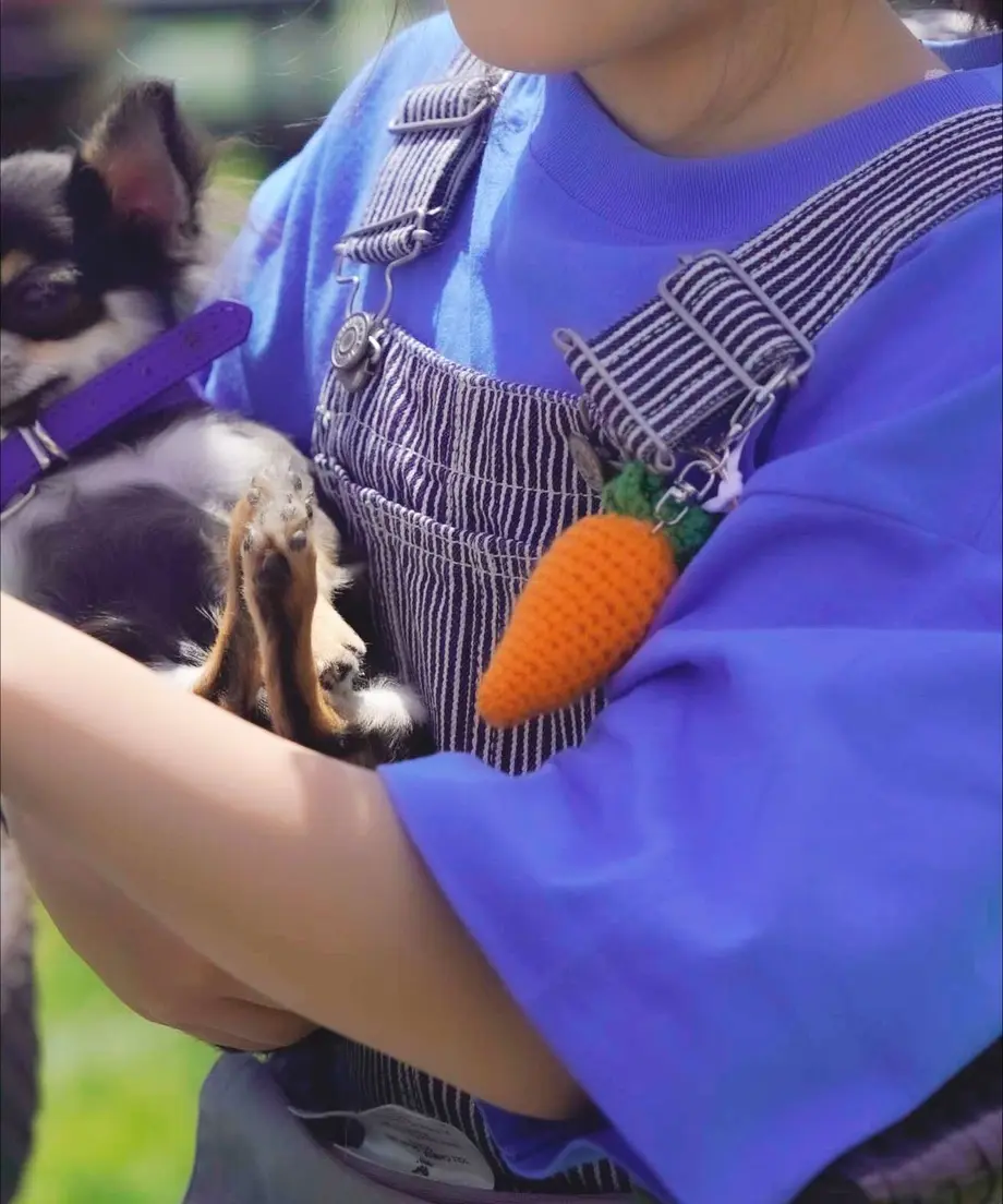 CARROT KEY CHAIN | NASU FARM VILLAGE ONLINE STORE