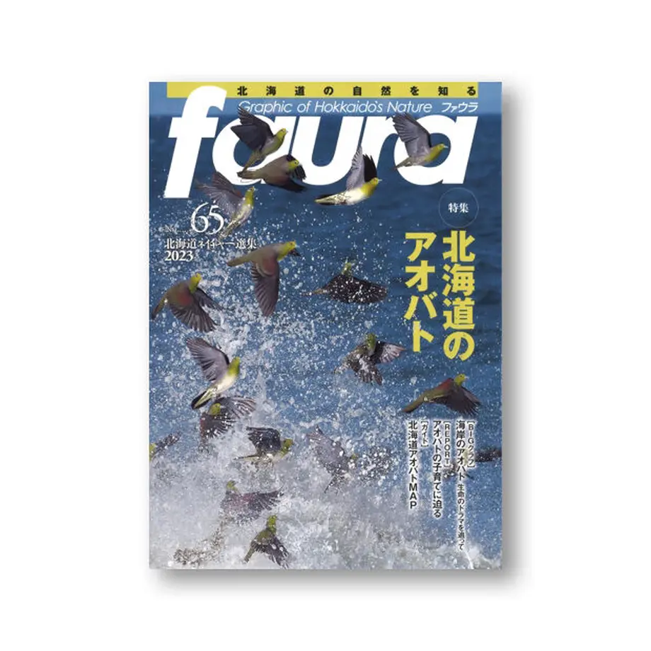 faura（ファウラ）65号【2023・4・25発行】 | faura store