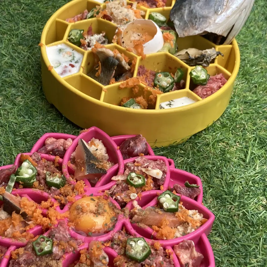 SPマンダラEトレイフィーダー | RIKKADOR