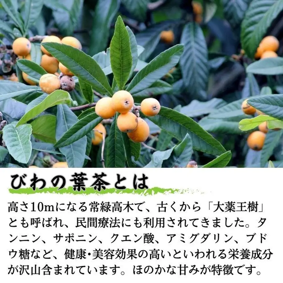 びわの葉茶 ティーバッグ 40p／15p | 高山茶園