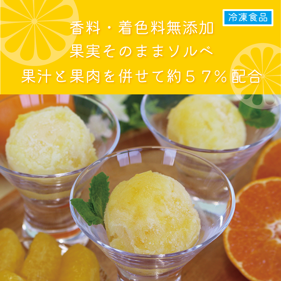 ソルベ 9個入 | えひめ自然の恵みギフト【BEMACグリップショップ】