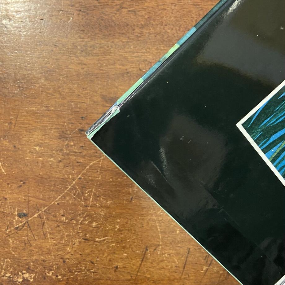 「TUESDAY」David Wiesner（デイビッド・ウィーズナー） | Frobergu...