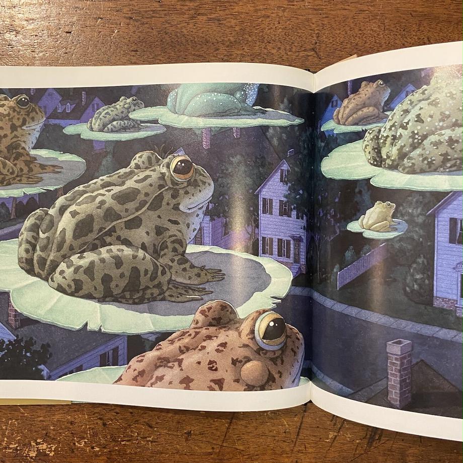 「TUESDAY」David Wiesner（デイビッド・ウィーズナー） | Frobergu...