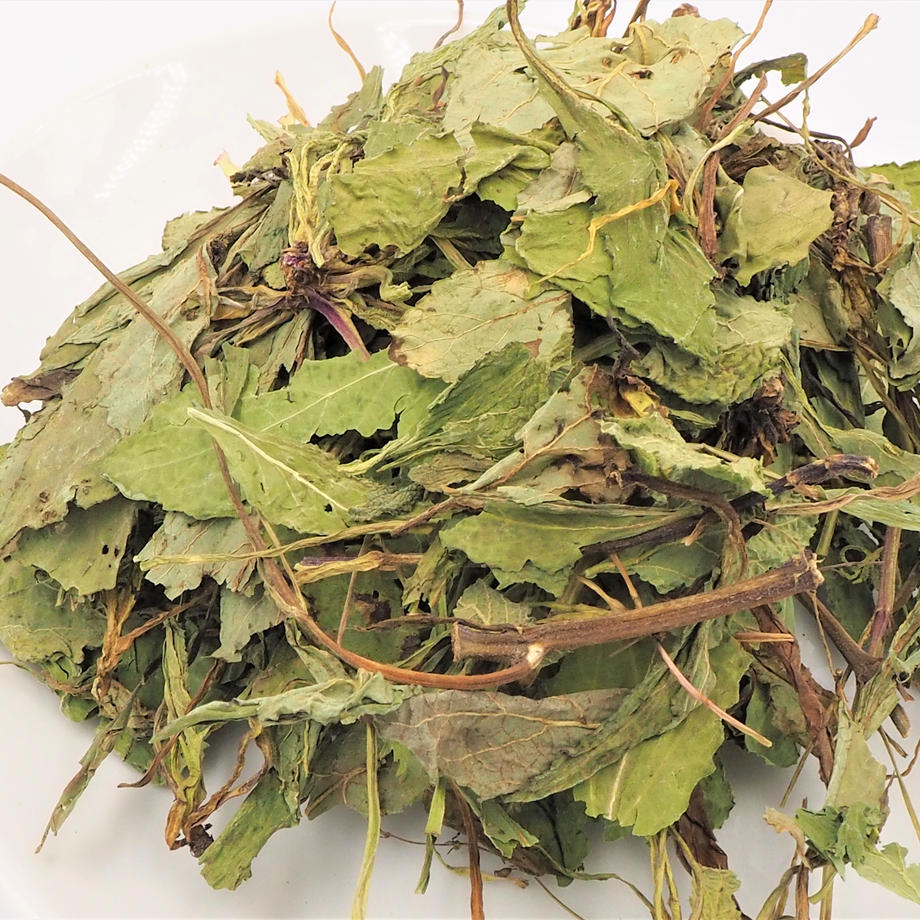 【Salvia plebeia leaf Tea】 Health Tea/1.5 g × 2...