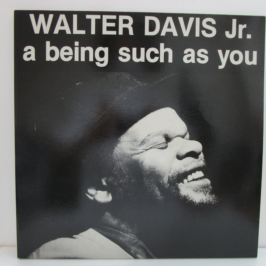 WALTER DAVIS JR. / A Being such as You | TOHTO ...