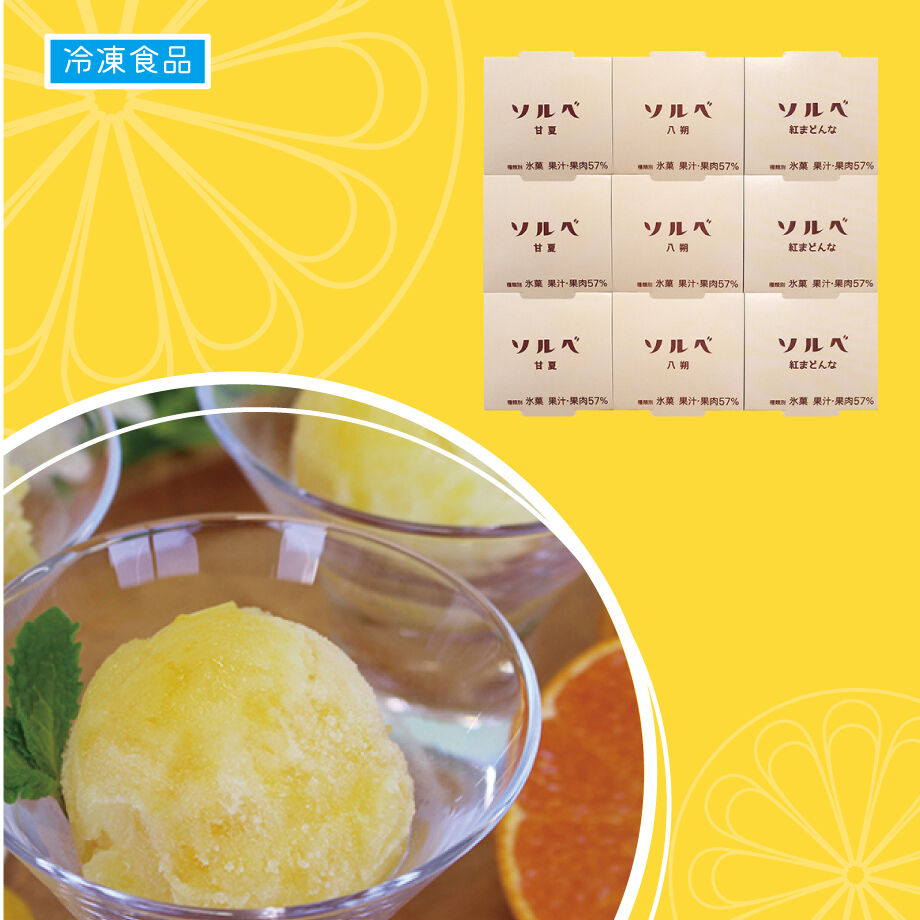 ソルベ 9個入 | 【公式通販】えひめ自然の恵みギフト | BEMACグリップショップ