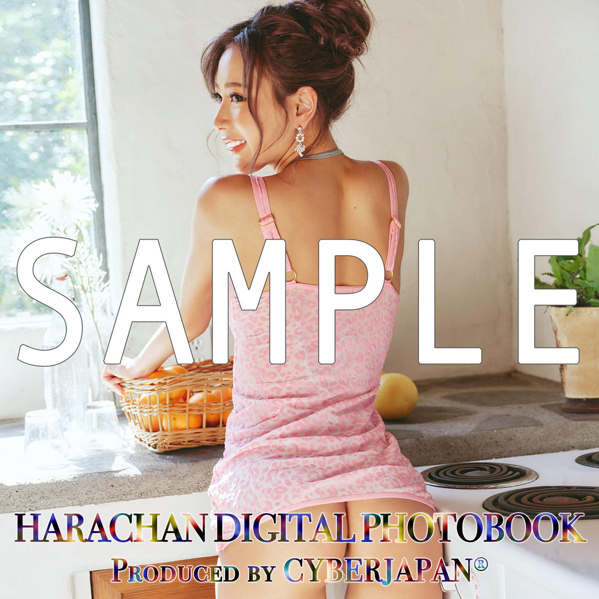 HARACHAN DIGITAL PHOTO BOOK（デジタル写真集）Vol.2 | CYB...