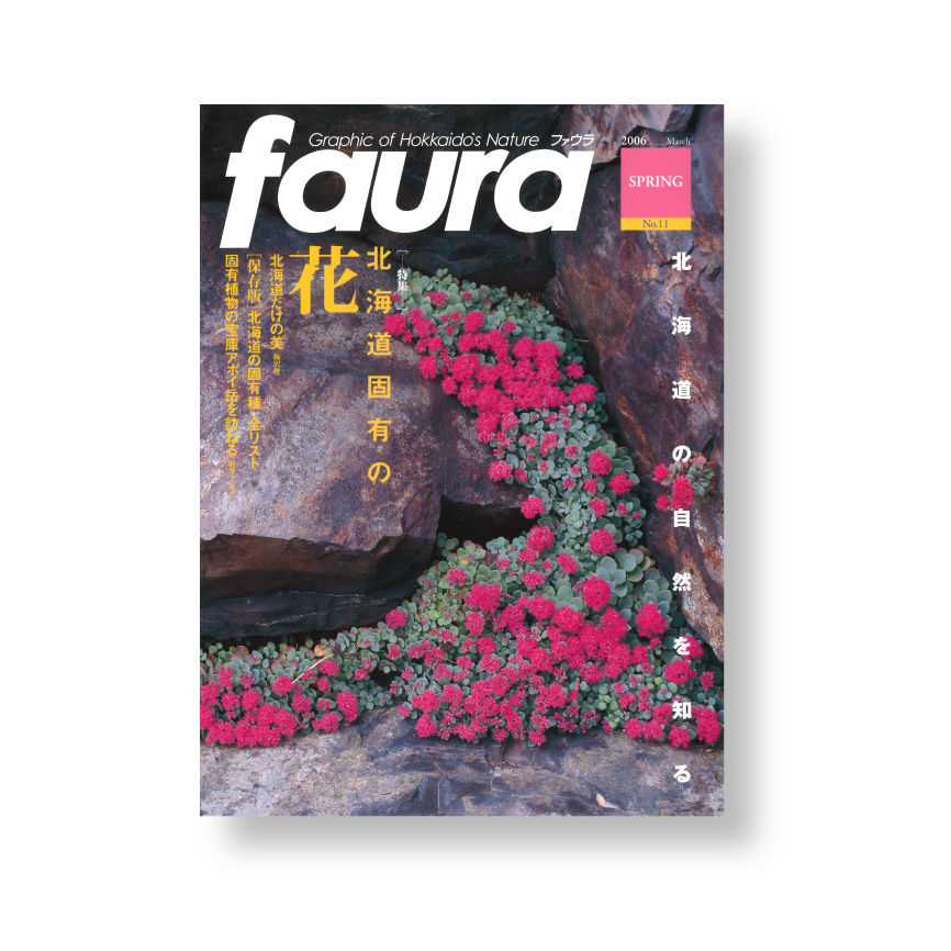 faura（ファウラ）11号【2006.3.15発行】 | faura store