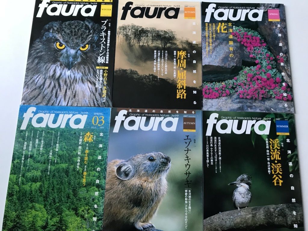 新春フェア | faura store