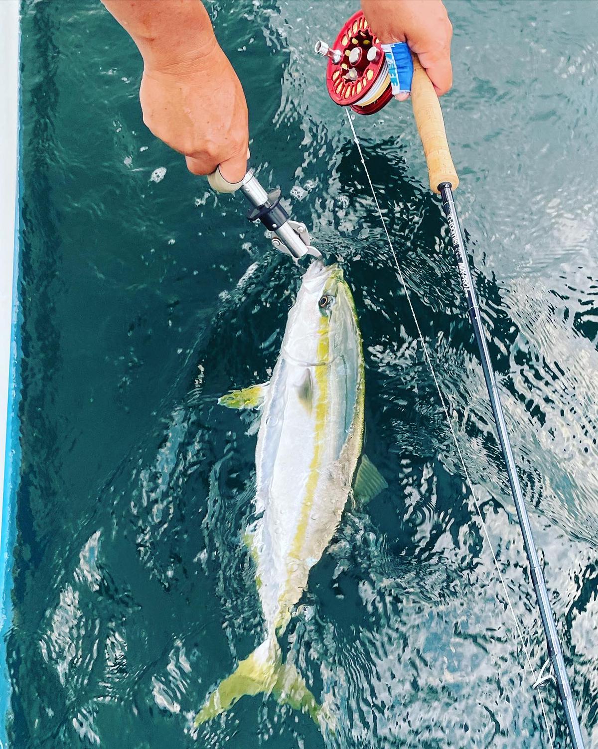 G.Loomis IMX-PRO V2S / SALTWATER フライロッド | mkb o...