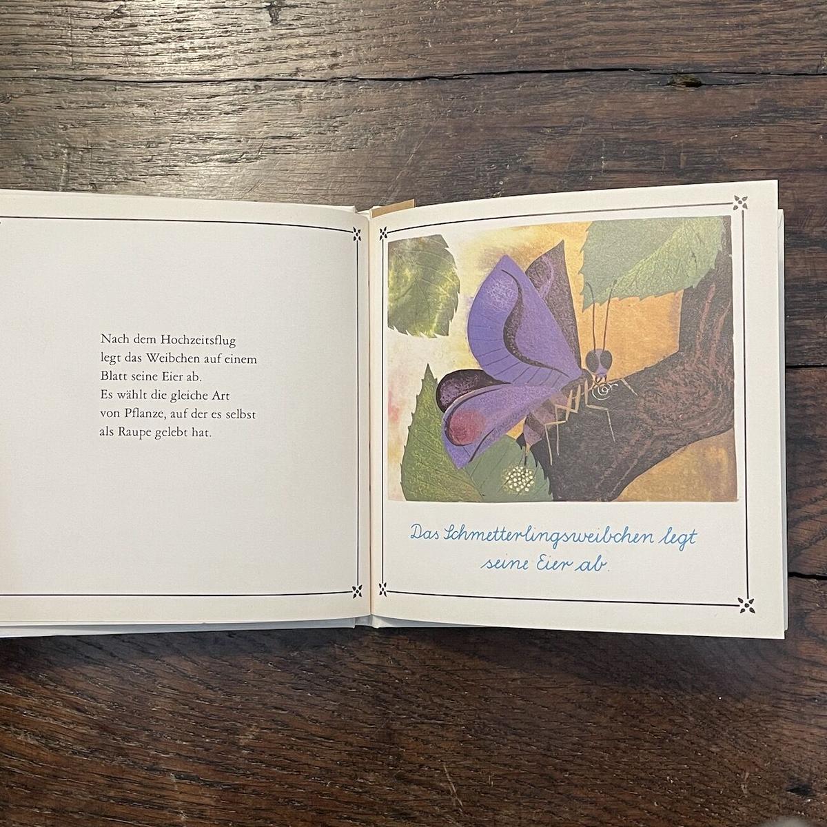 「Ein Wunder der Natur」Marlene Reidel（マーレン・リーデル）...
