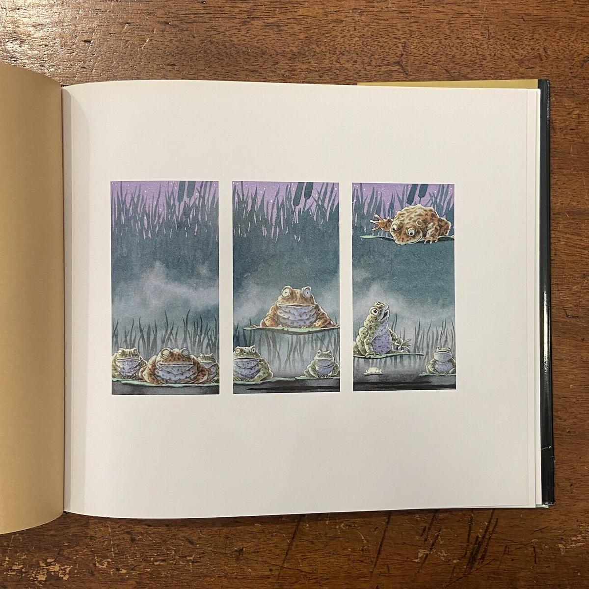 「TUESDAY」David Wiesner（デイビッド・ウィーズナー） | Frobergu...