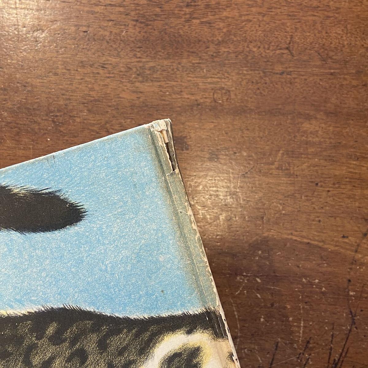 「So Small」Ann Rand（アン・ランド） Feodor Rojankovsky（フ...