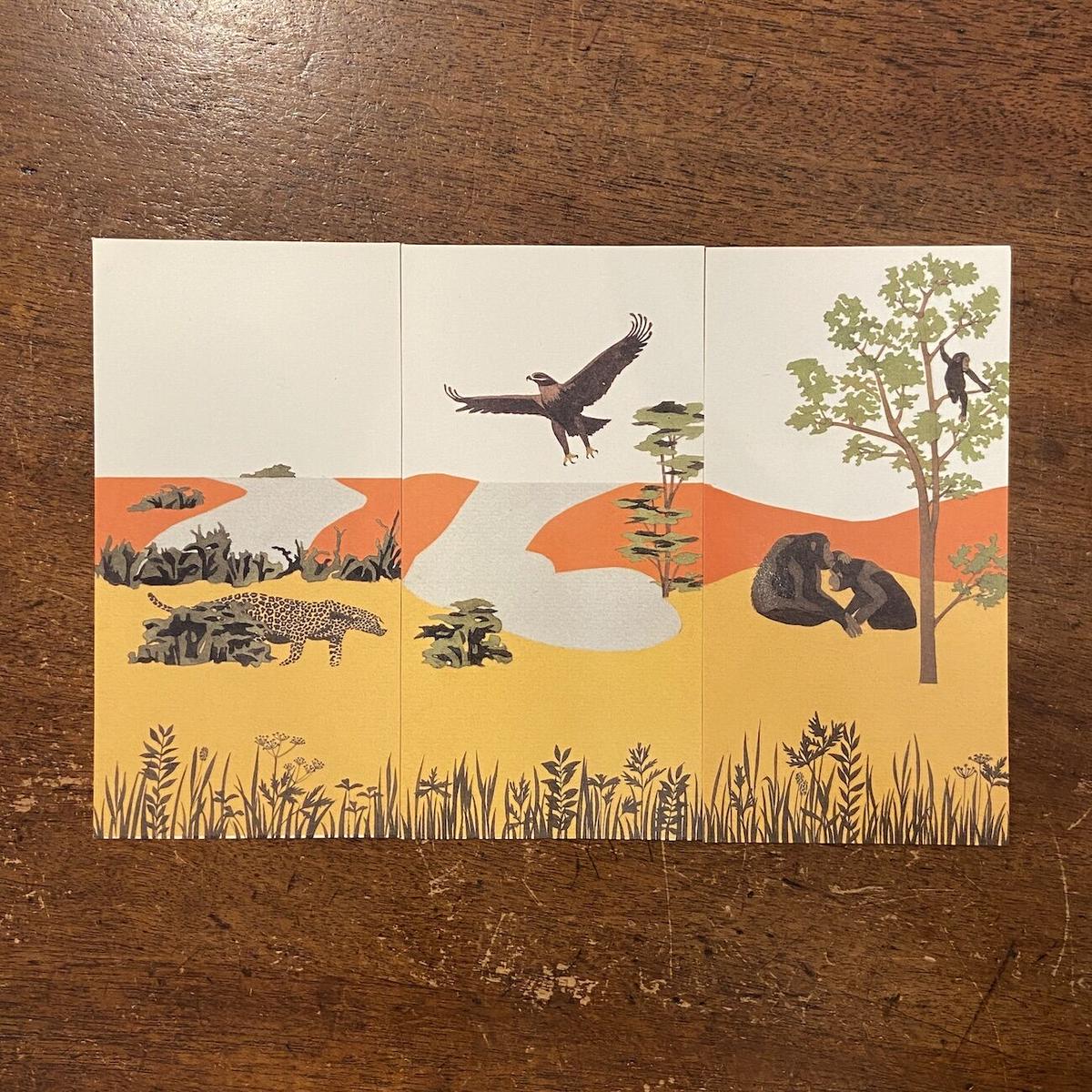 「IL PAESAGGIO INFINITO」Iera Mari（イエラ・マリ） | Frob...