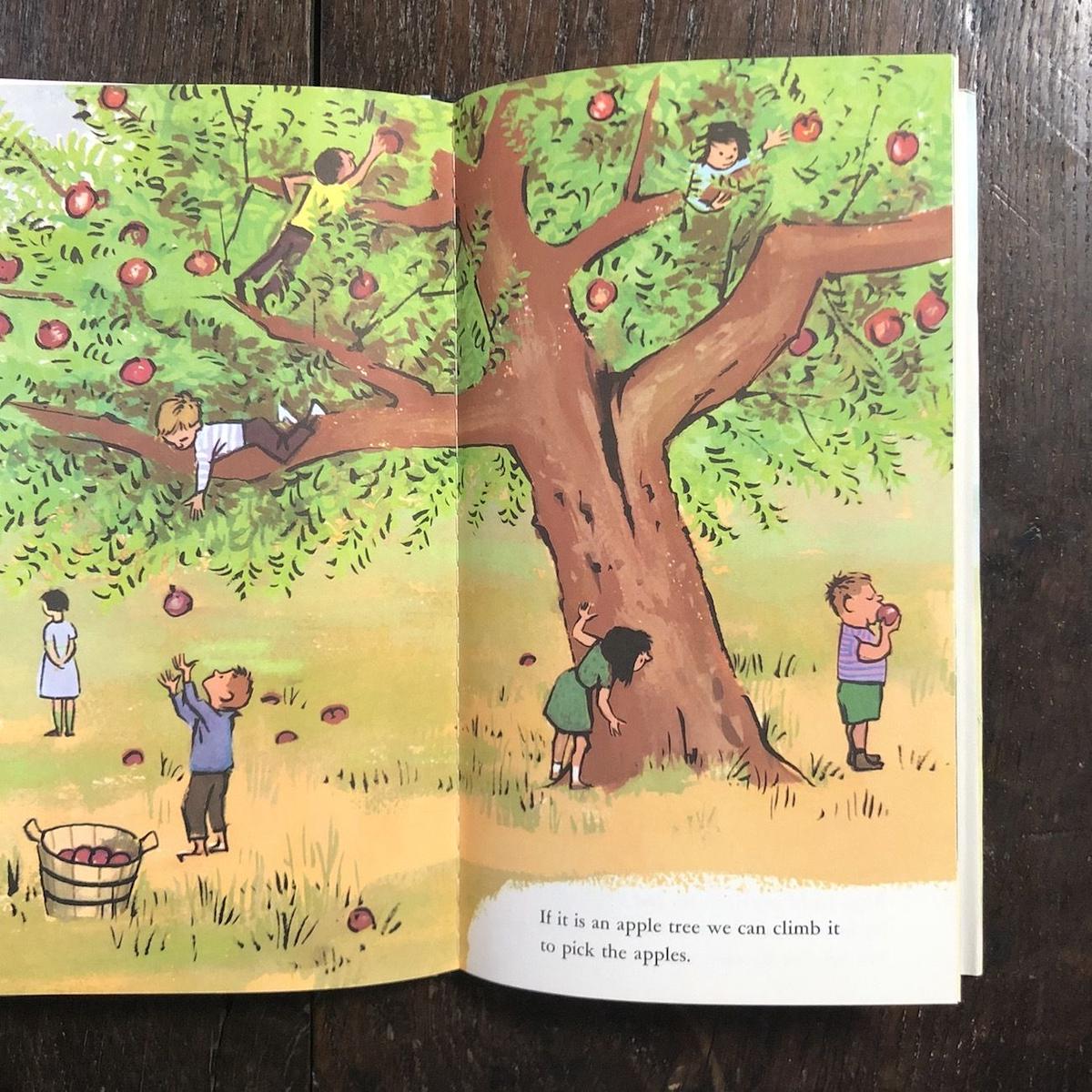 「A TREE IS NICE（1960年頃刷）」Janice May Udry Marc S...