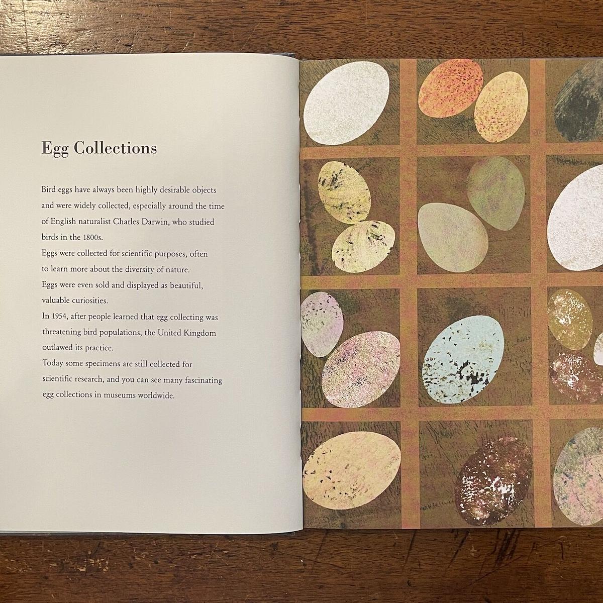 「THE EGG」Britta Teckentrup（ブリッタ・テッケントラップ） | Fro...