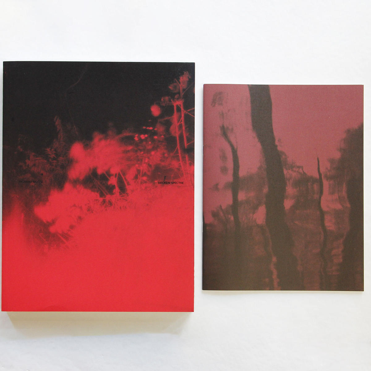 Richard Mosse『BROKEN SPECTRE』 | Fugensha STORE