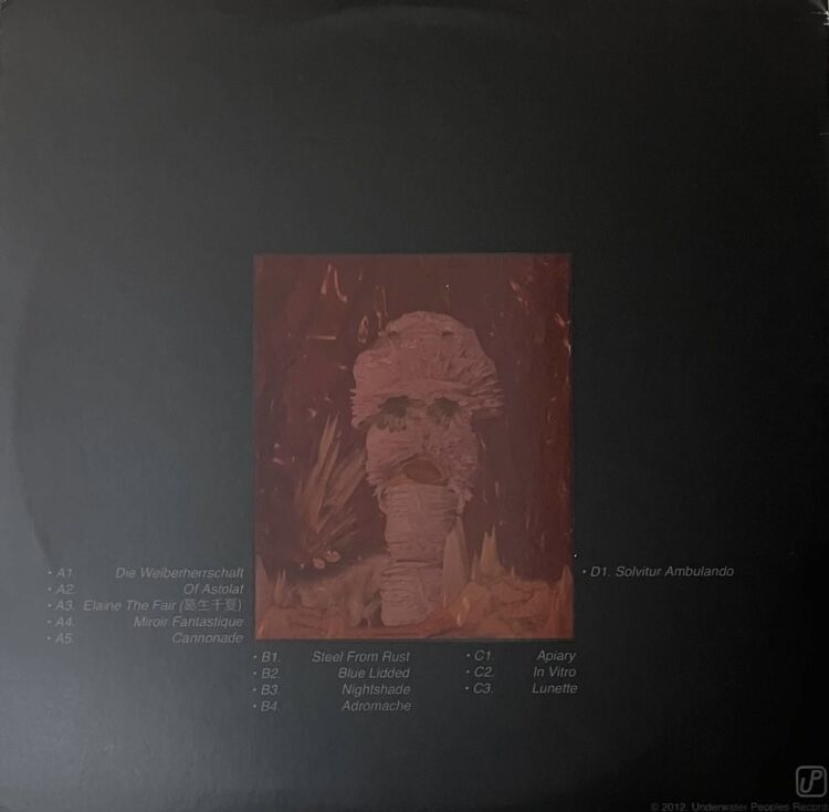 Ian Drennan - The Wonderful World [2LP][Underwa...