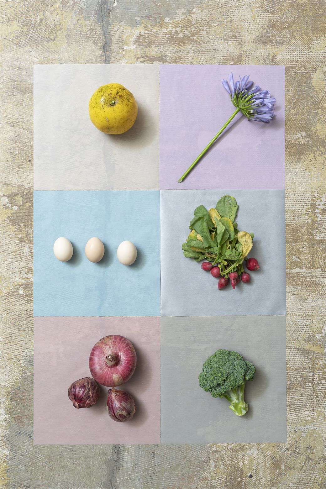 FANDE ファンデ 60cmx15m | HOSHINO ONLINE SHOP (STORES)