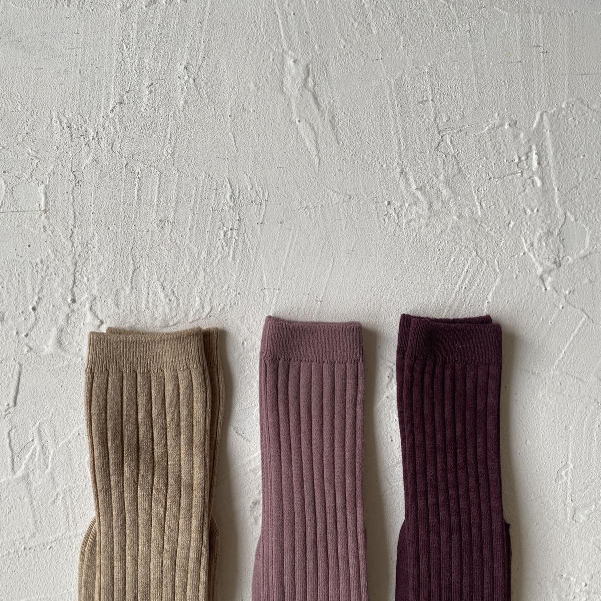 condor / Basic rib knee-high socks 2016-2 | ju...