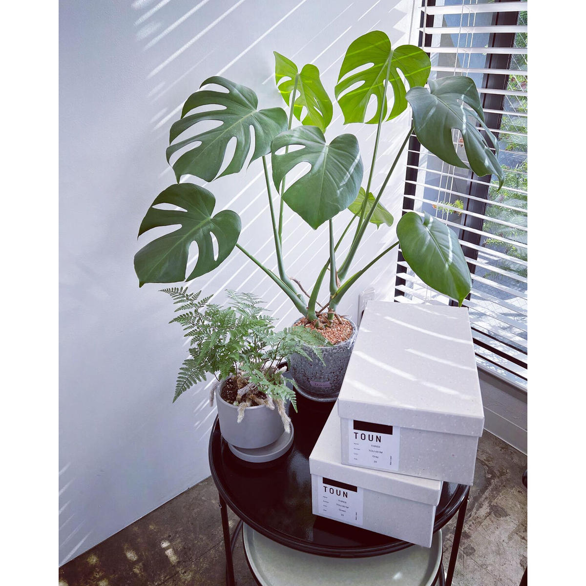 【TOUN】Three / col.GRAY | lupus online store