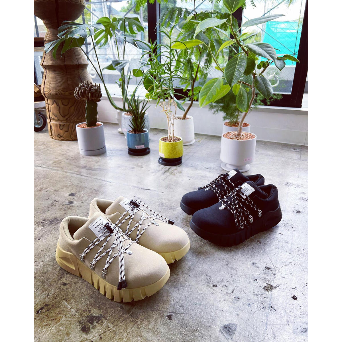 【ORPHIC】TR LIGHT / col.MAPLE | lupus online store