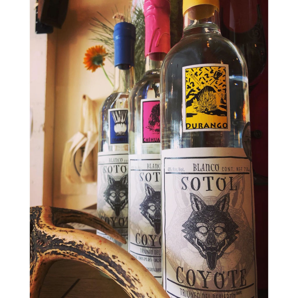 🇲🇽【ソトル】SOTOL 🇲🇽"COYOTE" DURANGO / コヨーテ ・ドゥランゴ ...