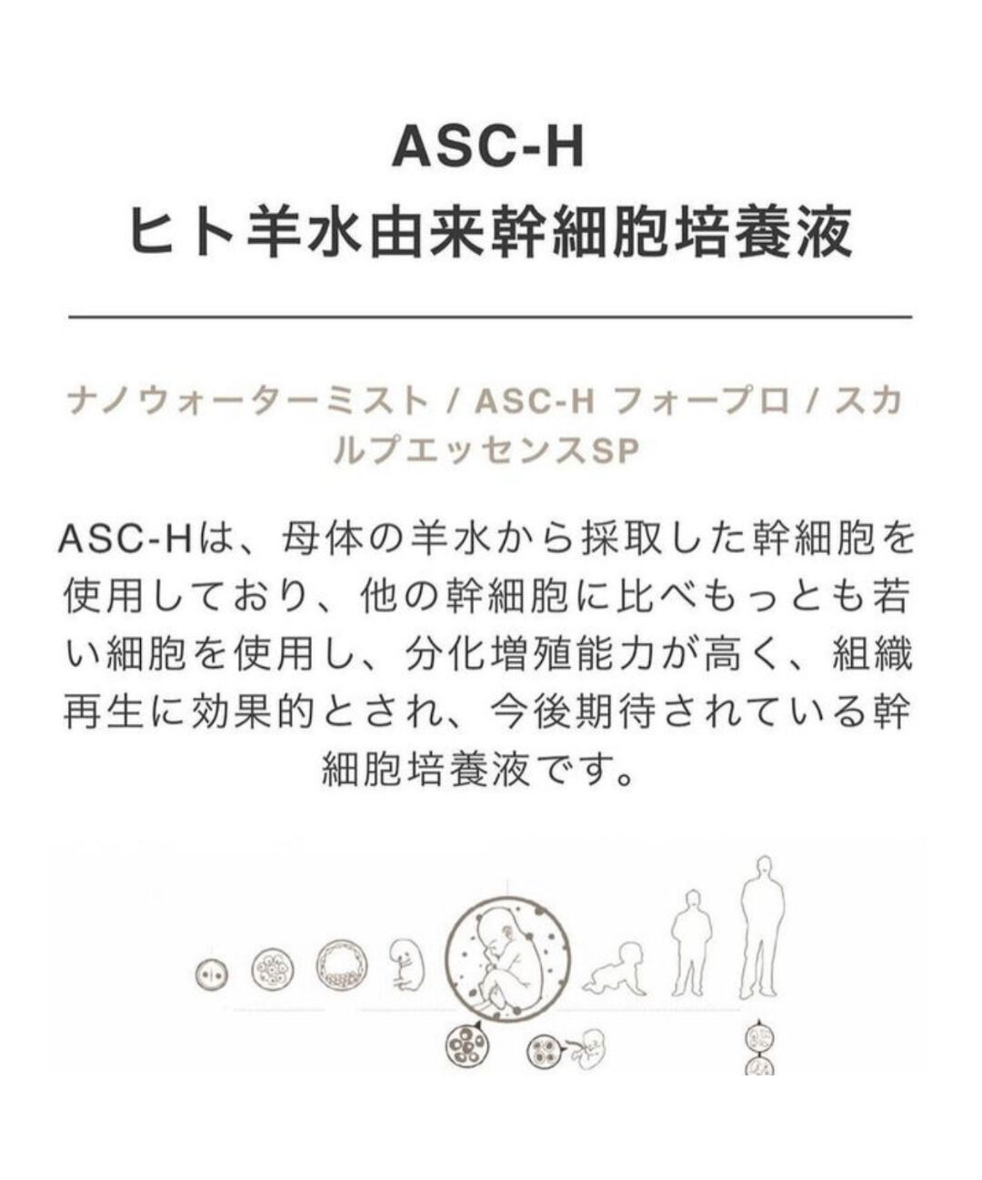 STEMLER（ステムラー）スカルプエッセンス SP 毛髪美容液 60ml | MICTH ...