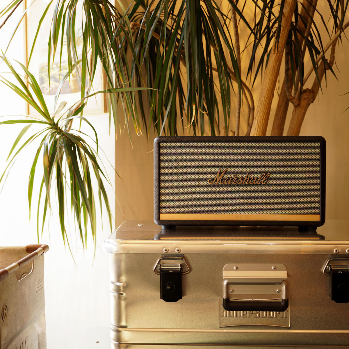 STANMORE 2 / MARSHALL | GENERAL STORE SURVIVE