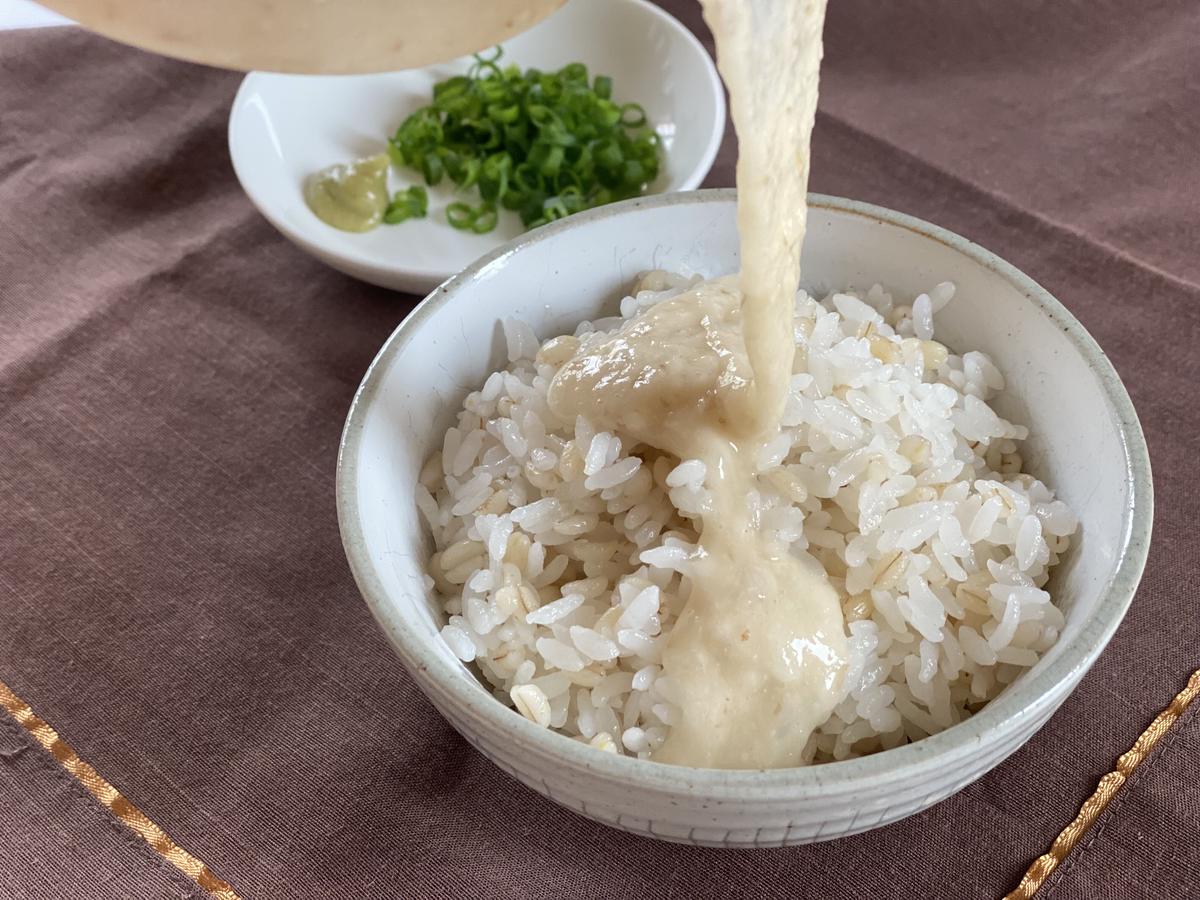 静岡県本山産自然薯100％【ほんやま自然薯】チューブ式（285g×4本） | もぐはぐ農園