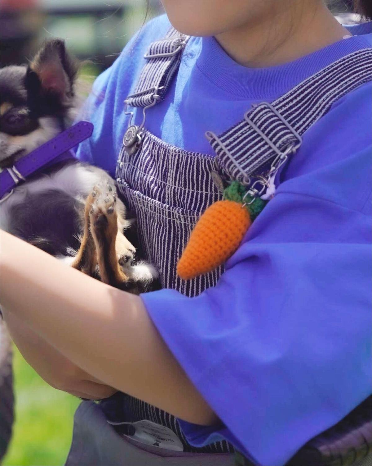 CARROT KEY CHAIN | NASU FARM VILLAGE ONLINE STORE