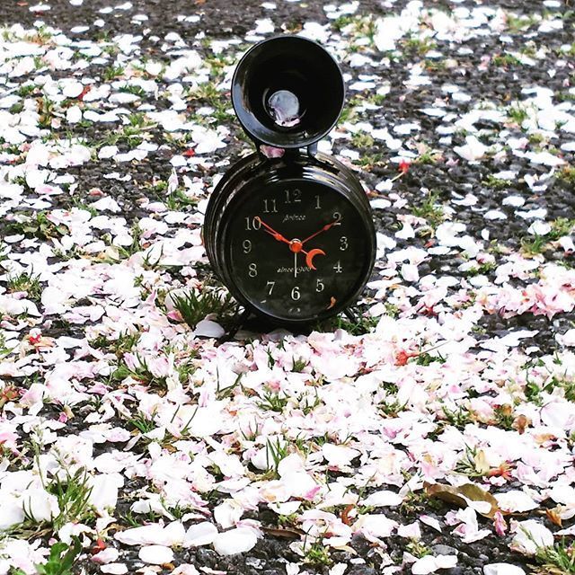 Bugle Clock (First)BK [ビューグルクロック・ファースト BK] Blac...