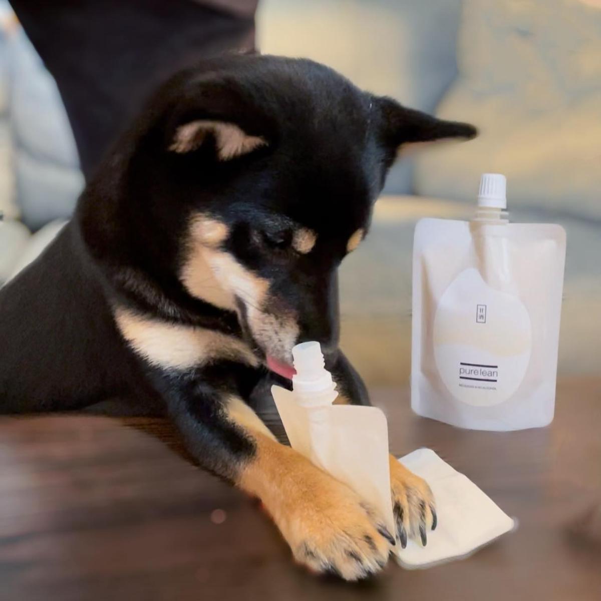 ピュアリーン甘酒プレーン100g×14本セット【冷凍品】 | purelean store