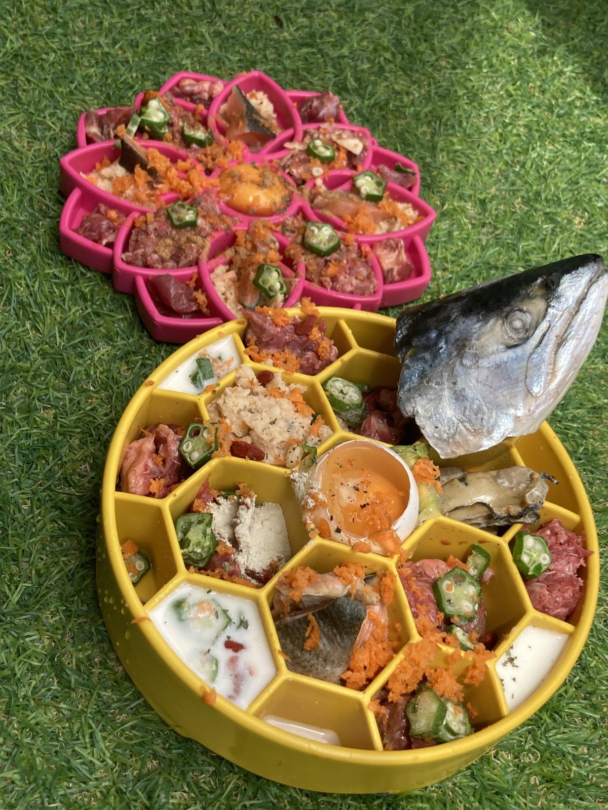 SPハニコームEボウル イエロー | RIKKADOR