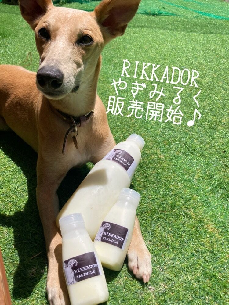 セット🐐ヤギミルク200ml ×5本入 | RIKKADOR