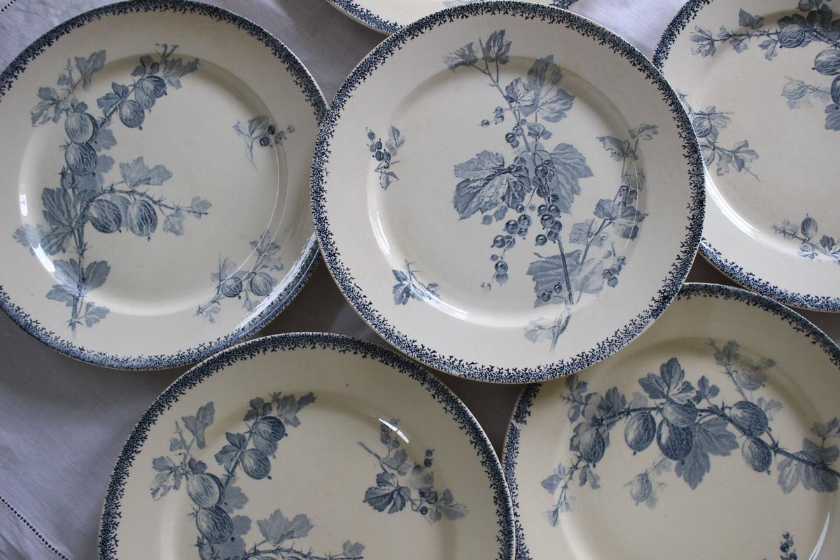 U&C Sarreguemines 【サルグミンヌ】スグリのプレート“GROSEILLES”