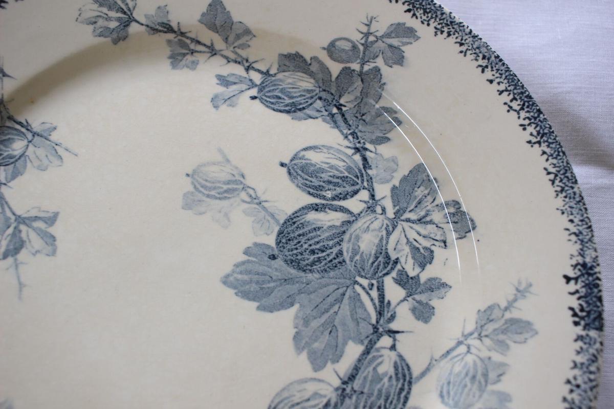 U&C Sarreguemines 【サルグミンヌ】スグリのプレート“GROSEILLES”